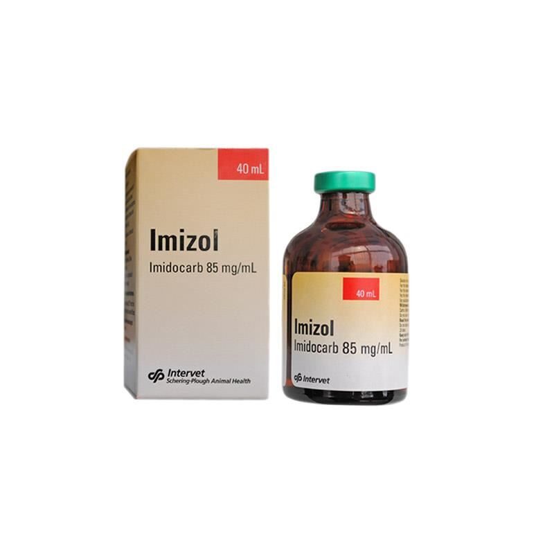 [PROMO] IMIZOL 40 ML 10+2 KETAMIDOR INJ 10 ML GRATIS - Biotur