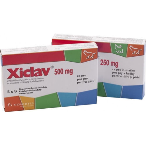 XICLAV TBL 2*8T 250 MG - Biotur