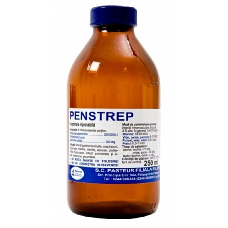 PEN STREP 100ML - Biotur