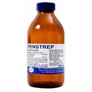 PEN STREP 100ML - Biotur